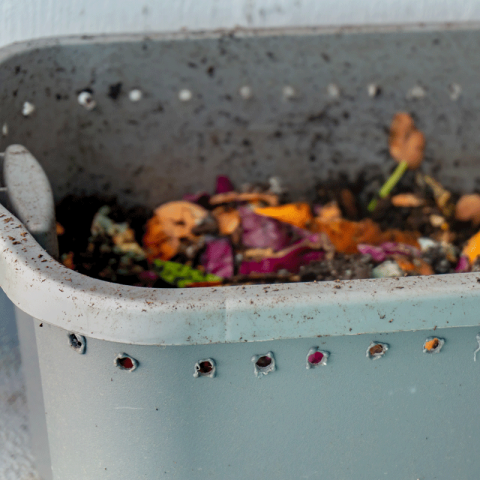 Wormeries - The Worm Man